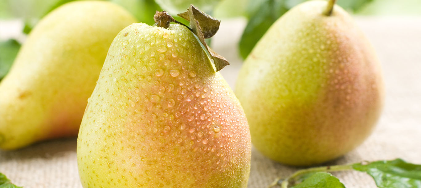 Pears | GT Fruitech