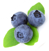 Blueberriese | GT Fruitech