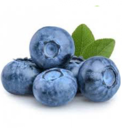 Blueberriese | GT Fruitech