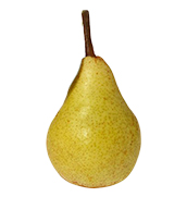 Pears | GT Fruitech